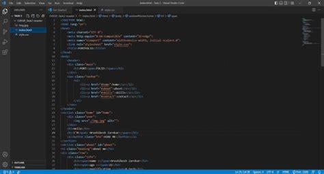 Hrushikesh Zarekar On Linkedin Html Css Oasisinfobyte Intern Portfoliowebsite