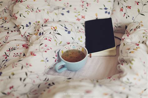 Sincerity Simplicity On Tumblr