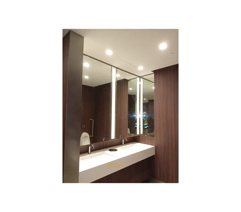 Phenolic Wall Clad System Toilet Cubicle Andrestroomspecialistsingapore Ecoplus Manufacture