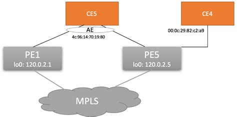 Evpn Type 4 Ethernet Segment Route Explained Bgp Help