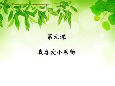 《我喜爱小动物》课件word文档在线阅读与下载无忧文档