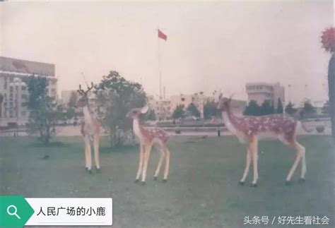 彩色的照片裡的老鄒城滿滿的都是回憶鄒城人一定能懂 每日頭條
