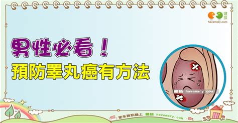 如何預防睪丸癌｜認識癌症 睪丸癌篇2