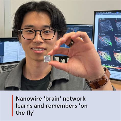 Physical Neural Network Learns On The Fly Science University Of