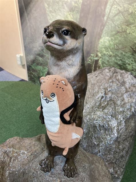 魚交（さめ） On Twitter なるほど