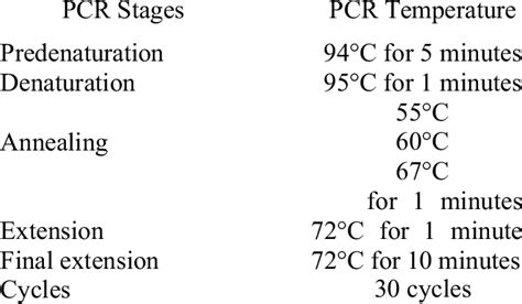 Optimization Of T Pcr Temperature Determination Download Scientific
