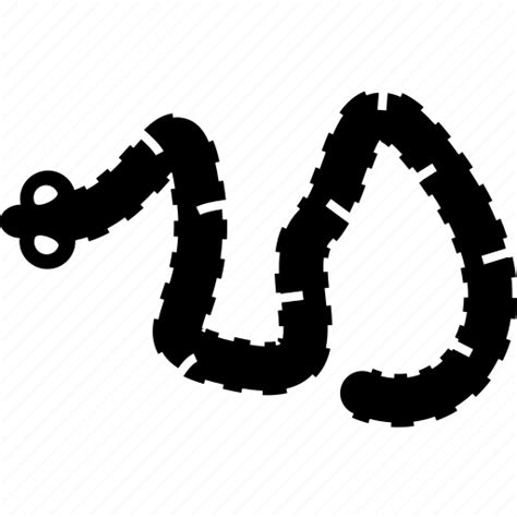 Parasite Tape Tapeworm Worm Icon Download On Iconfinder