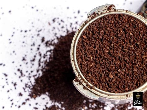 Specialty Café Molido Tostado Buy From Costa Rica