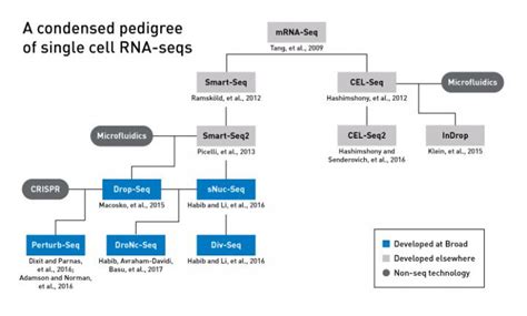 single nucleus rna seq merges with microfluidics