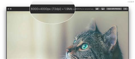 Qlimagesize 在 Macos 预览图片时显示图片尺寸大小