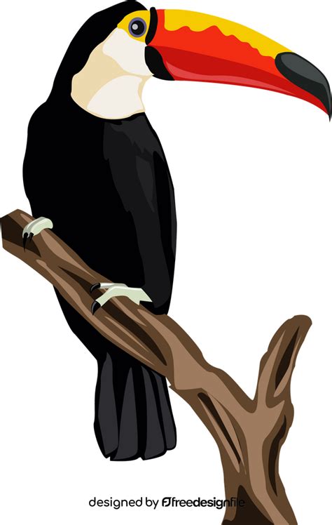 Cute Toucan Clipart Free Download