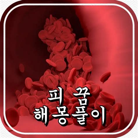 피꿈 해몽풀이 생리피피똥눈코피머리발토혈이빨피덩어리피바다오줌다른사람튀는꿈등