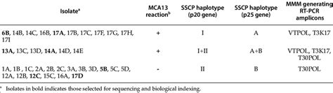 Serological And Molecular Features Of Citrus Tristeza Virus Isolates Download Table