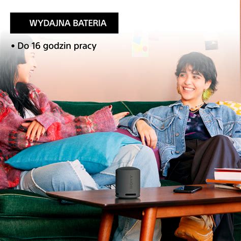 Głośnik Bezprzewodowy Sony Xb100 Czarny Srsxb100b Głośniki