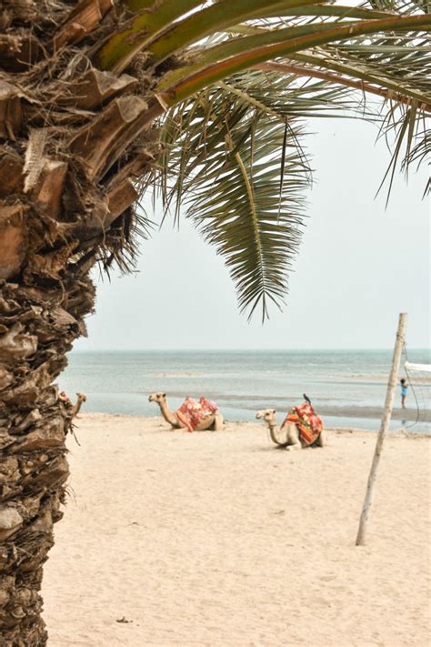 The Ultimate Eritrea Travel Guide Everything You Need To Know