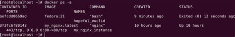 Cómo crear de forma interactiva un contenedor Docker