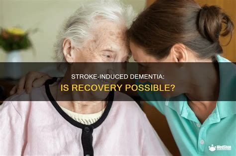 Stroke Induced Dementia Is Recovery Possible Medshun