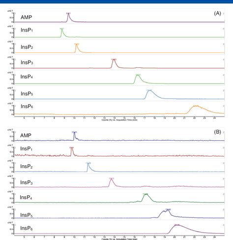 Figure 1 From Determination Of D Myo Inositol Phosphates In