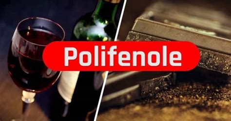 Polifenole znajdziesz je w czekoladzie i winie Czy naprawdę wydłużają życie
