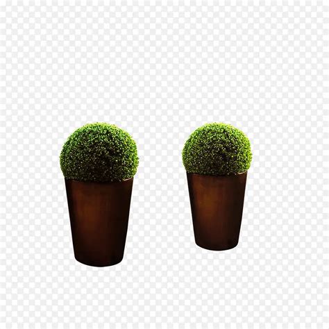 植物PNG图片素材下载 图片编号9714737 PNG素材网