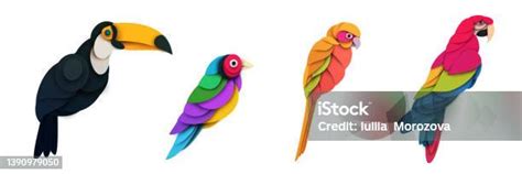 흰색 배경에 고립 된 추상적 인 새들의 세트 Toucan Aratinga Finches Macaw 만화 공예 종이 컷 스타일의 창조적 인 3d 개념 다채로운 최소한의 캐릭터