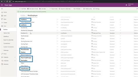 Common Data Service Entity Creation Power Bi Master Data Skills Ai