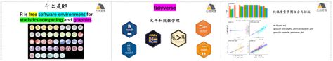 R语言piecewisesem结构方程模型在生态环境领域实践技术应用 知乎