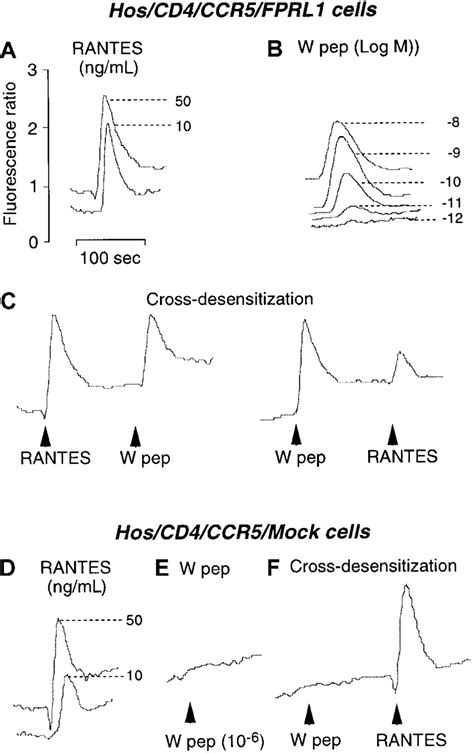 Calcium Mobilization In Hoscd4ccr5 Cells Coexpressing Fprl1 Or Pcdna3