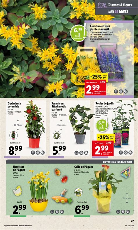 Arrivage Lidl Plantes Et Fleurs Du Mercredi 24 Mars 2021 Catalogue007