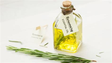 Comment Utiliser L Huile Essentielle De Romarin Pour Les Cheveux