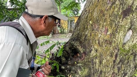 MINSA continua los operativos contra el Dengue Chiriquí Ministerio de