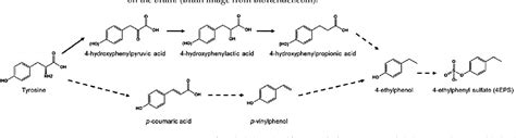 Figure 3 From Chemical Modulators For Targeting Autism Spectrum Disorders From Bench To Clinic