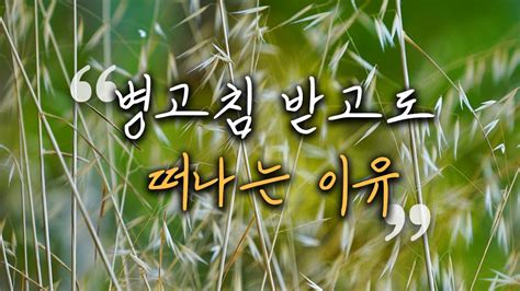 병고침 받고도 떠나는 이유 Youtube