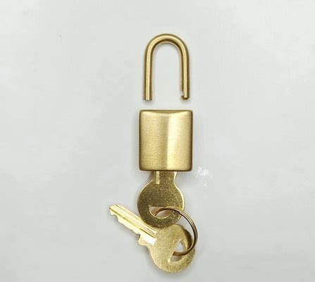 Genital Piercing Locks For Labiae Or Foreskin