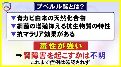 マラリアに効果あるほど強い毒性『プベルル酸』の性質や特徴は 小林製薬の問題で原因物質の可能性 Youtube