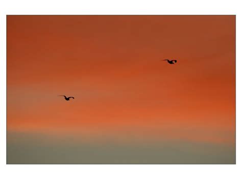 Marcel Koelen Posted On Linkedin