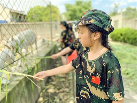 青少年团建 向心力拓展训练中心