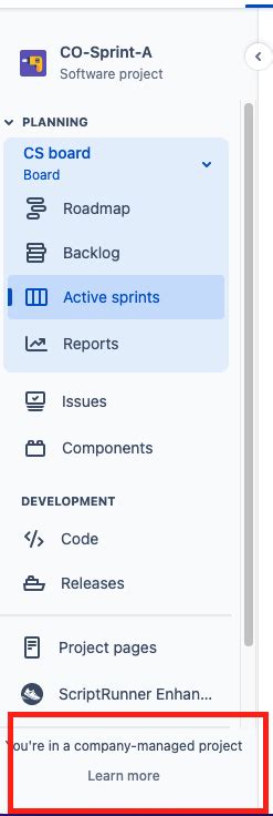 tasks in the board of the company managed project