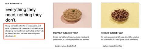 The Pas Copywriting Formula Simply Explained With Real Examples