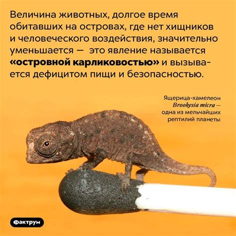 Пин на доске Интересные факты Интересные факты Забавные факты Факты