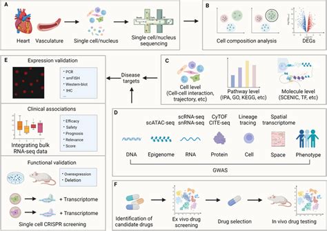 Target Identification And Precision Medicine Patterns A Brief Workflow