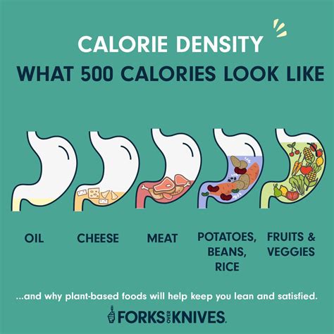 The Calorie Density Approach To Nutrition And Lifelong Weight