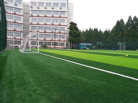 国内人造草坪五人制笼式足球场尺寸规格介绍 知乎
