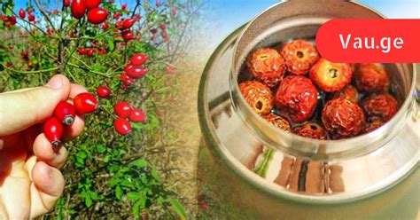 მაქვს ღვიძლის ციროზი პერიოდულად მუცლის ღრუში მიგროვდება ხოლმე მცირე რაოდენობით სითხე ნაცნობმა