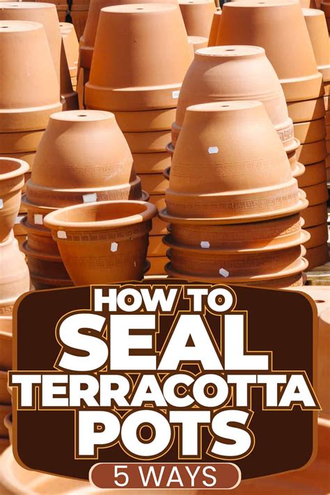 How To Seal Terracotta Pots 5 Ways