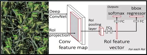 Github Marcoayman Plant Wheat Detection Using Ai This Project Analyzes The Detection And The