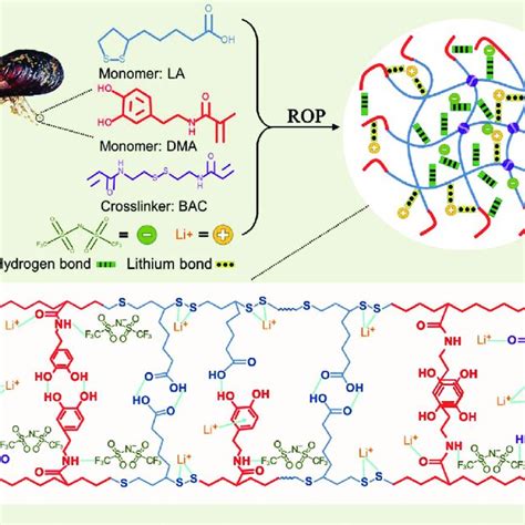 Schematic For Molecular Design Of Ice Based On La And Possible