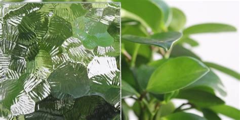 Decorative Architectural Glass Patterned Glass