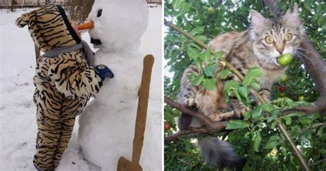 25 смешных доказательств того что голод не тётка