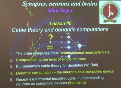 Cable Theory And Dendritic Computations